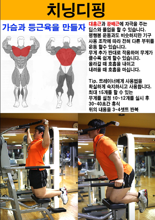 웨이트기구사용법 And 헬스기구사용법 웨이트트레이닝 머신을 이용한 운동방법 1부 네이버 블로그