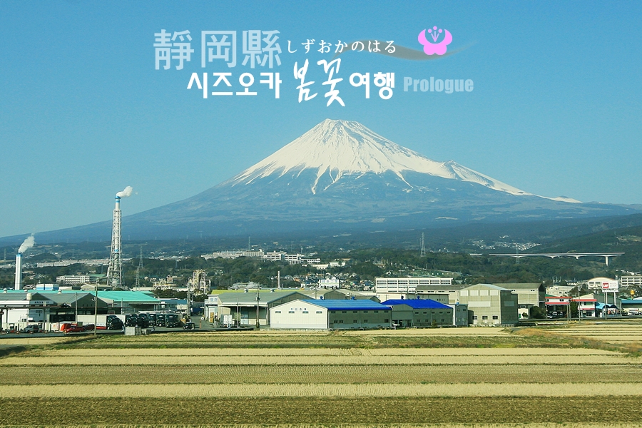 일본 시즈오카여행 프롤로그 봄꽃따라 떠난 여행의 시작 인천공항 시즈오카공항 시즈오카역 아타미역 네이버 블로그