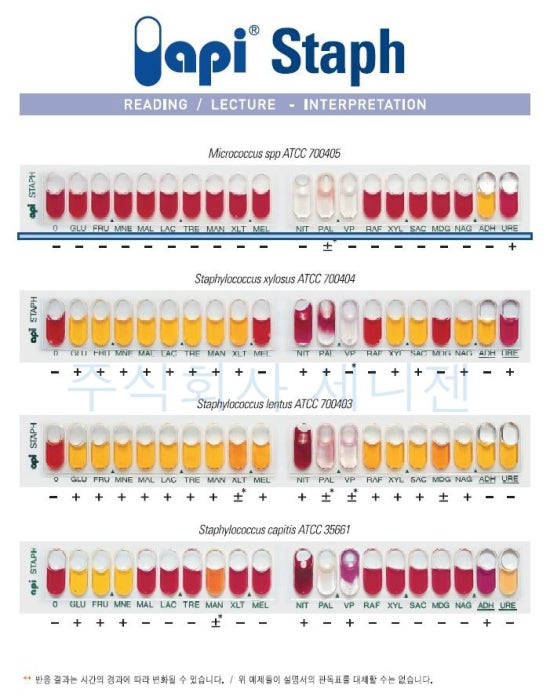 20500 / API 황색포도상구균 (Staph) : 네이버 블로그