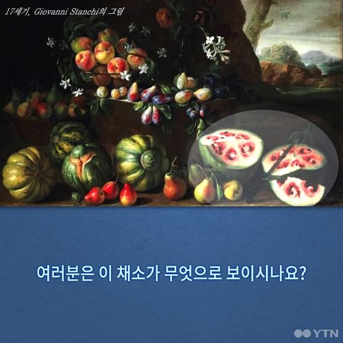 이게 수박이야 수천 년간 품종 개량된 채소와 과일의 본모습 네이버 블로그