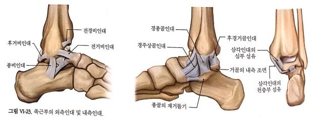 광주한방병원 발목 염좌발목삐끗치료 방법 첨단 재활 한방병원 네이버 블로그
