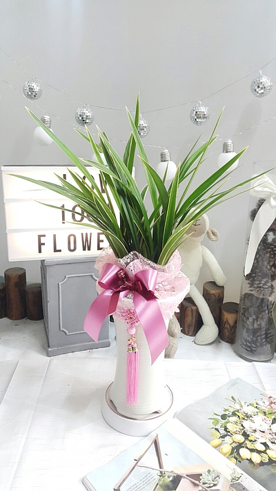 김해시꽃배달 승진축하화분 하반기인사발령이동축하꽃화분 승진화분 영전화분 김해동양란할인판매 김해꽃집 러브천사플라워 네이버 블로그