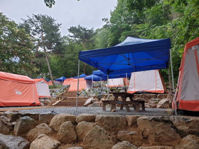 서울근교캠핑장 과천 서울대공원 캠핑장 장단점 총정리 네이버 블로그