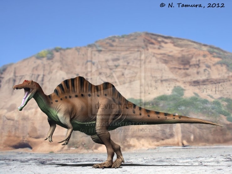 옥살라이아 (Oxalaia) : 네이버 블로그